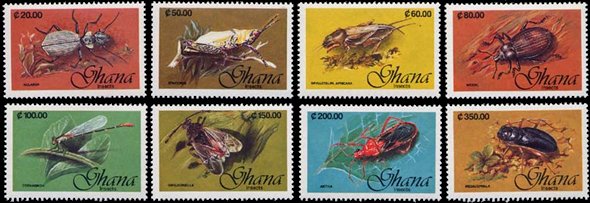 1991 Ghana, Insects