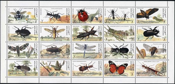 1998 Qatar, Insects